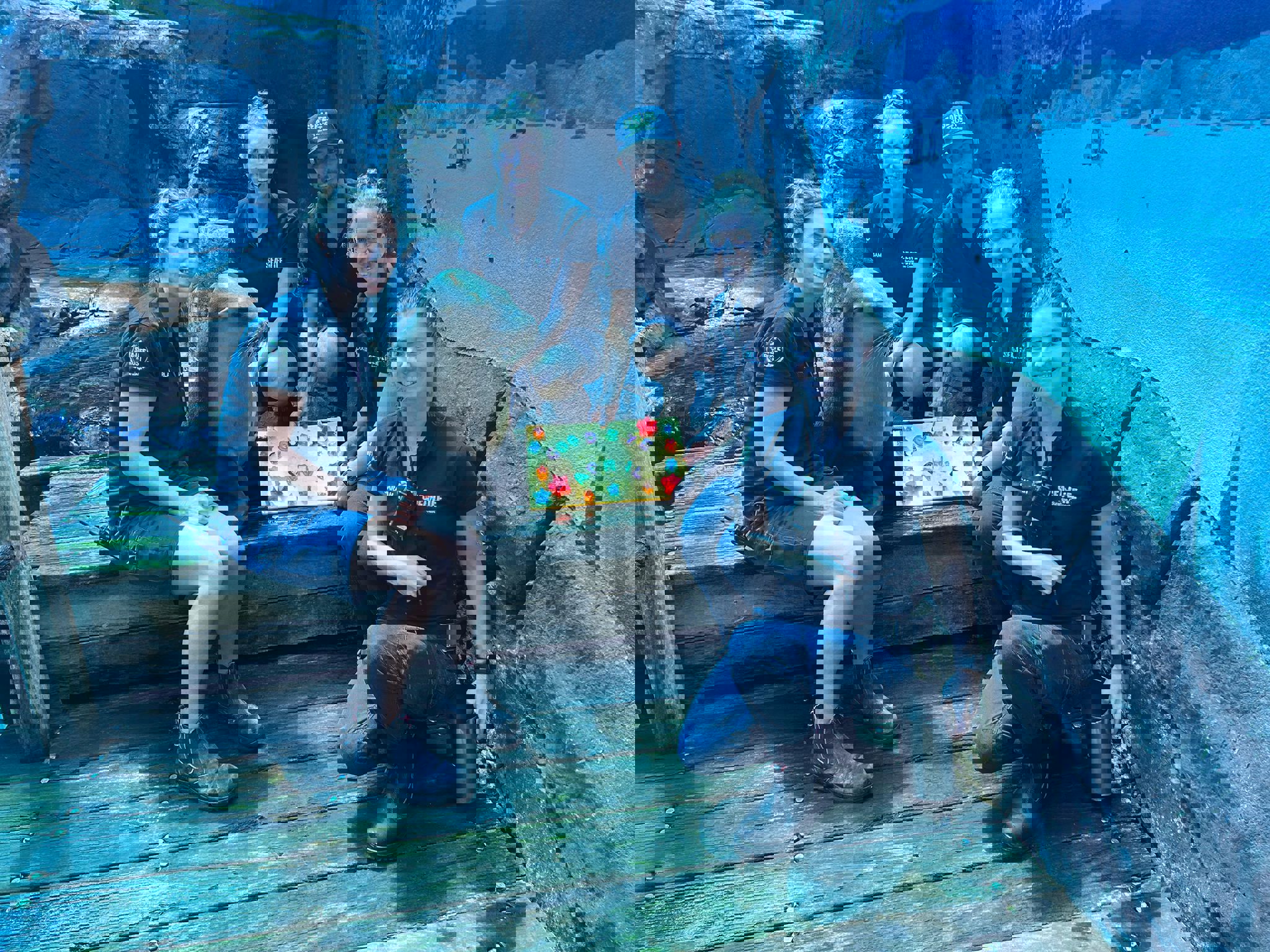 April the Australian sea lion goes on an adventure! | Merlin Annual ...